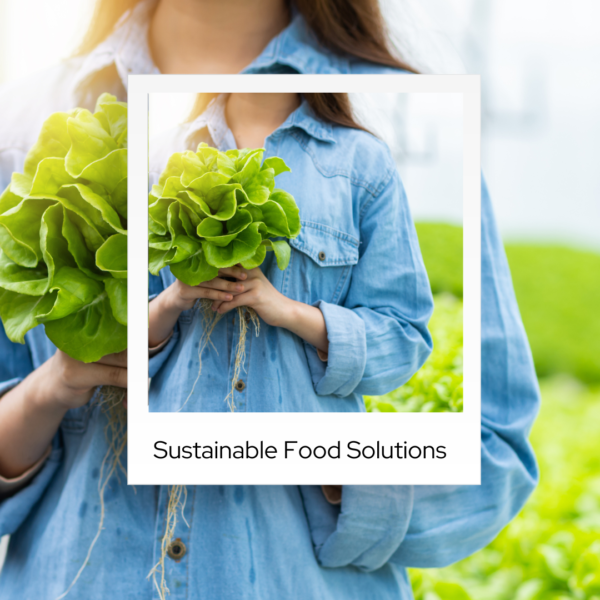 RenTech About - RenTech